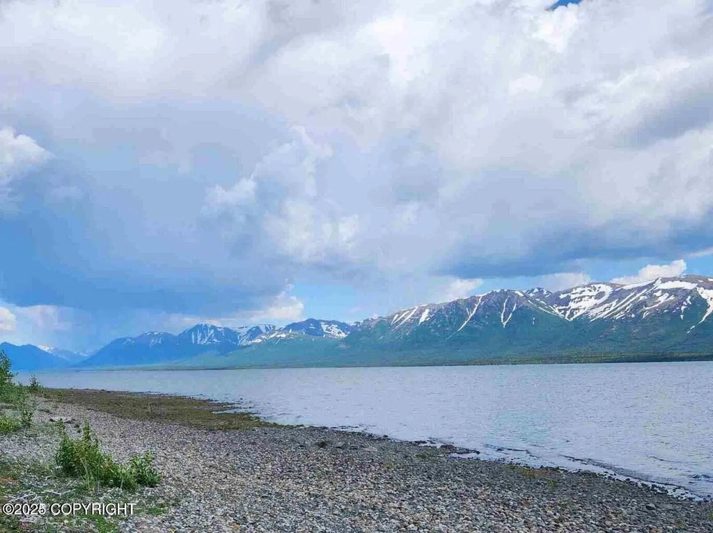 L6 B9 Keyes Point Lake Clark, Remote Property Listing: MLS® #25-9434