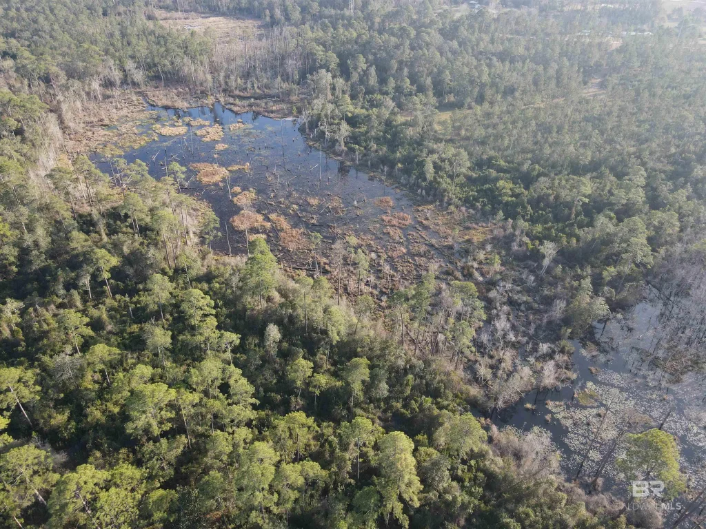 29640 Us Highway 98, Elberta Property Listing: MLS® #390033