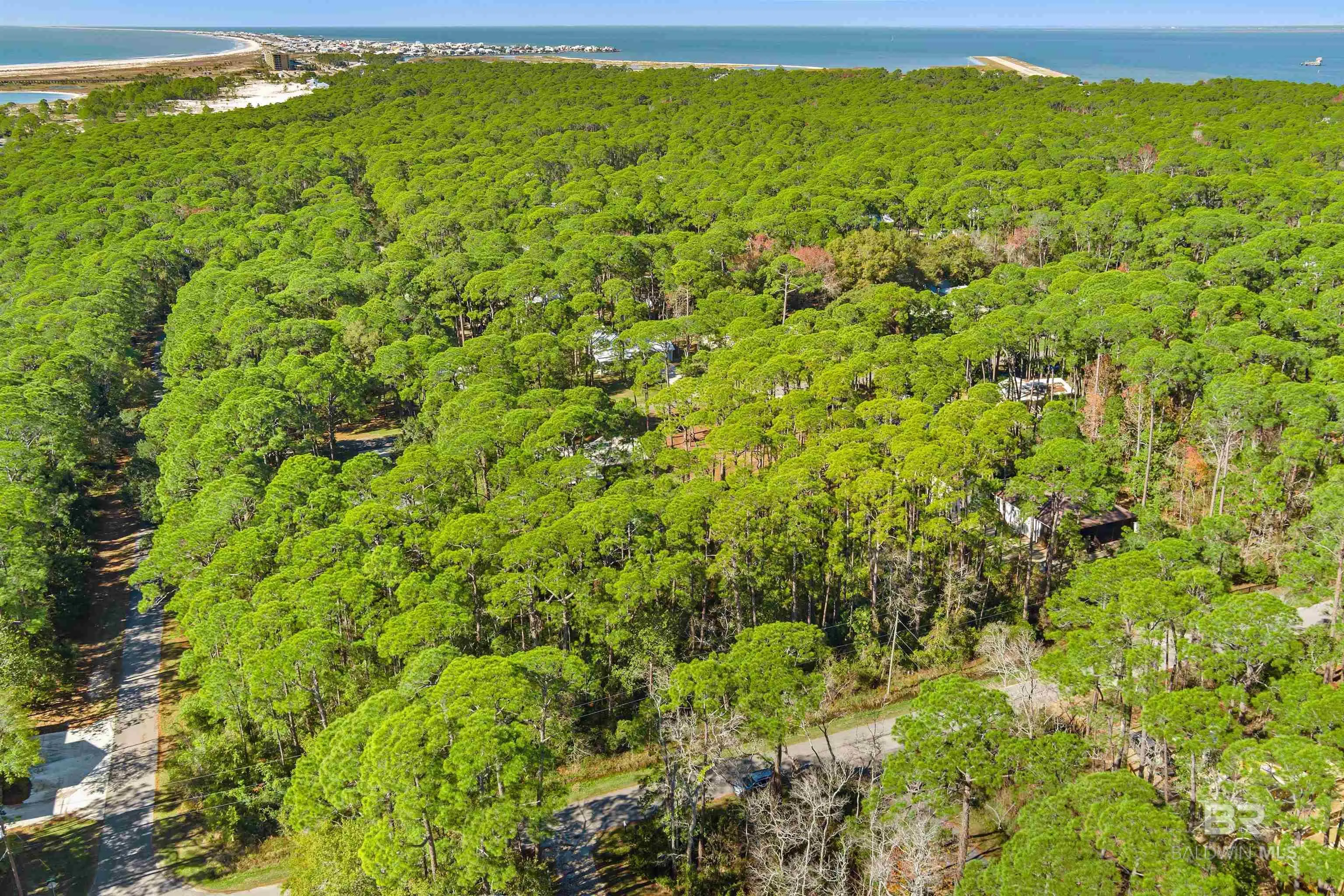 127 La Salle Street, Dauphin Island Property Listing: MLS® #390162