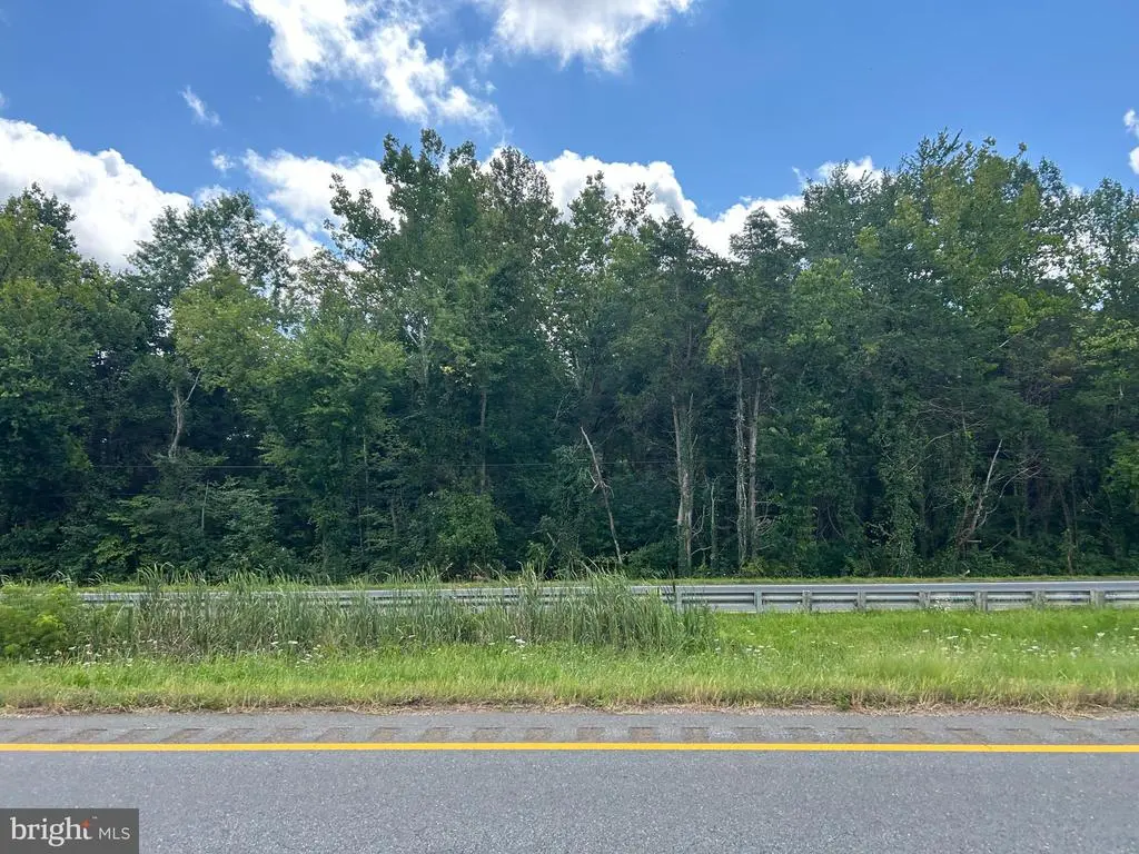 0 James Madison Hwy, ORANGE VA | ORANGE Lots/Land Homes For Sale