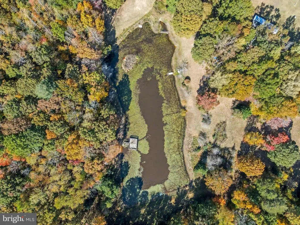 28282 Raccoon Ford Rd, BURR HILL VA | BURR HILL Lots/Land Homes For Sale