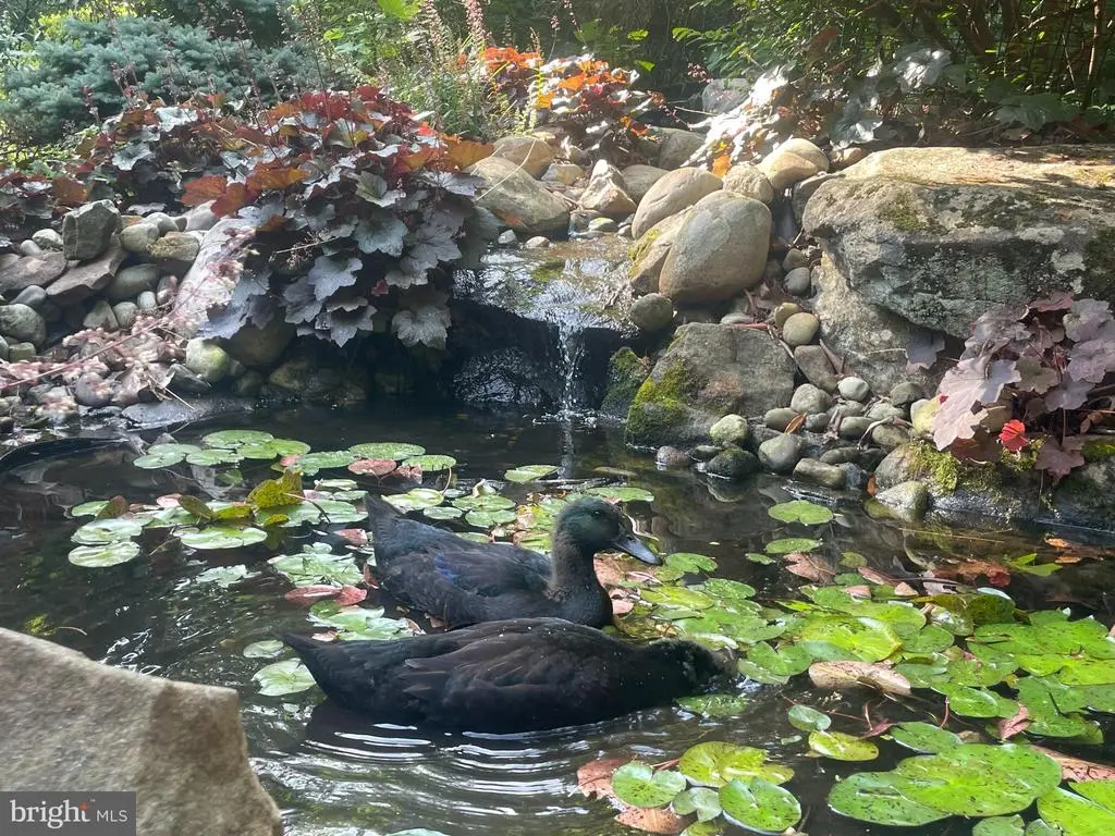 8132 Covered Bridge Rd, QUAKERTOWN, PA Property Listing: MLS® #PABU2112532