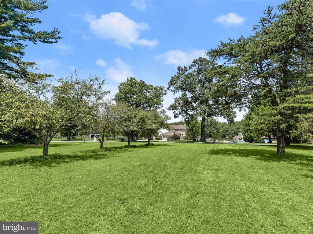 18389 New Cut Rd, Mount Airy Property Listing: MLS® #MDHW2057460