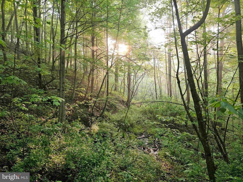 Tract 1 John Orr/ Sand Plant Rd, INDEPENDENCE WV | INDEPENDENCE Lots ...