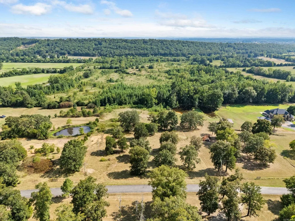 114 Castlepines Drive, Greenbrier Property Listing: MLS® #26000074