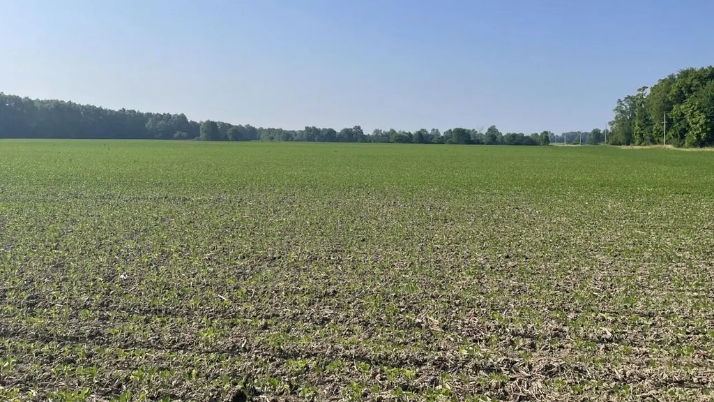 20478 Delaware County Line Road, Marysville Property Listing: MLS ...