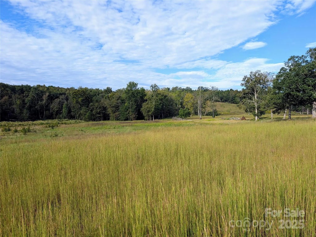 8 Acres Polk County Line Road, Rutherfordton Property Listing: MLS ...