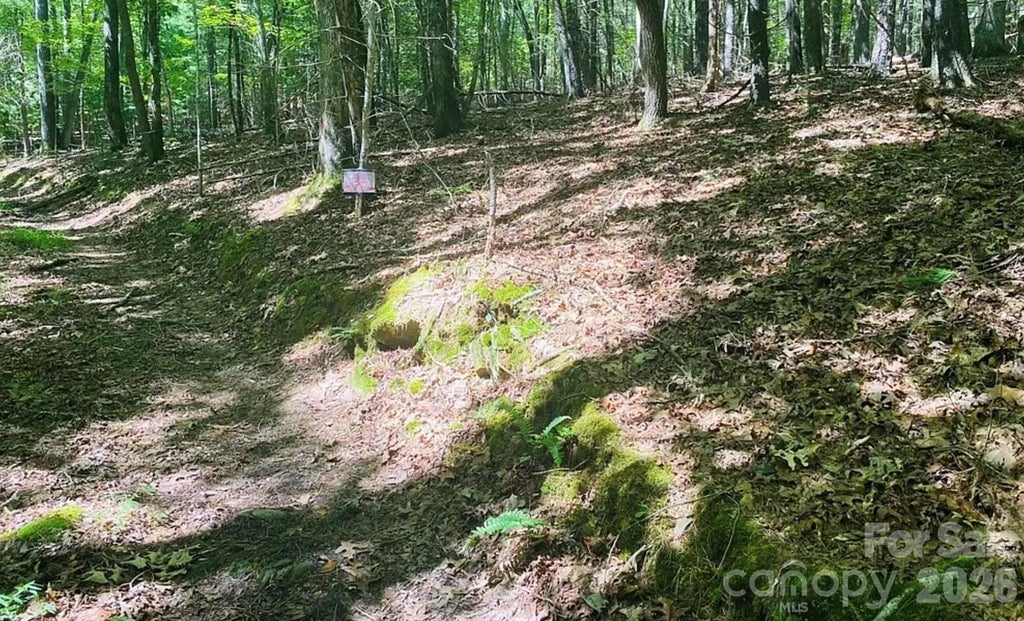 919 Panther Top Road, Murphy Property Listing: MLS® #4340865