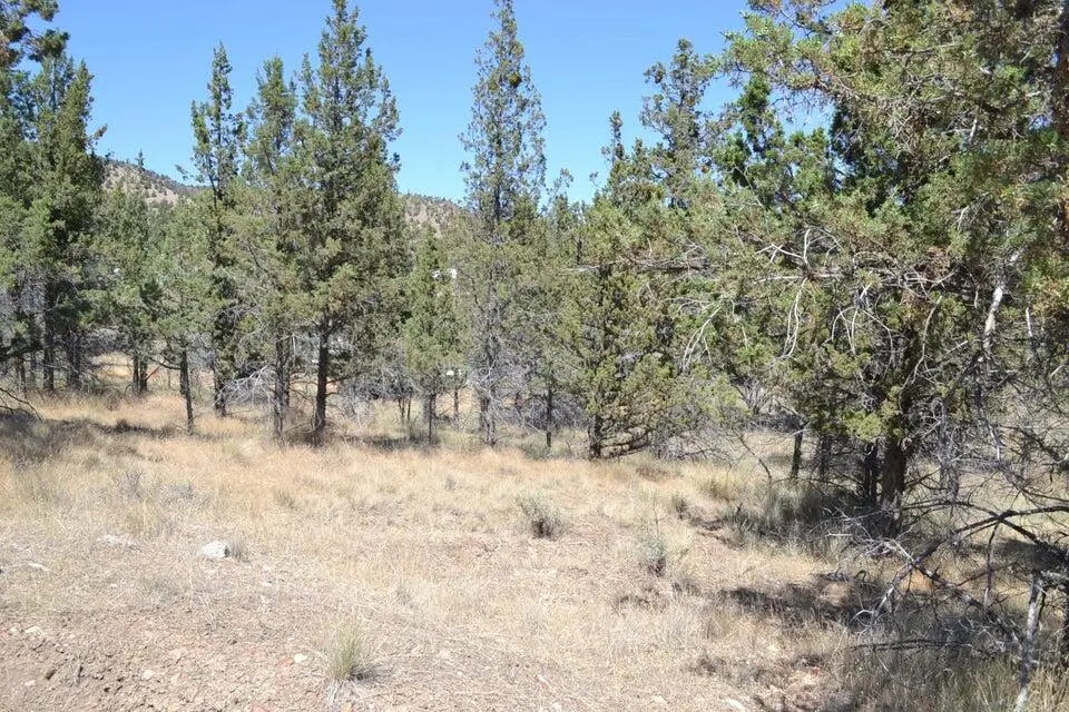 Nw Irvine Avenue Tl4300, Prineville Property Listing: MLS® #220213110
