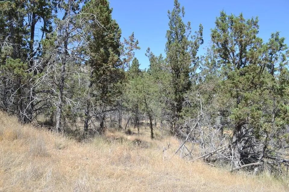 Nw Irvine Avenue Tl4300, Prineville Property Listing: MLS® #220213110