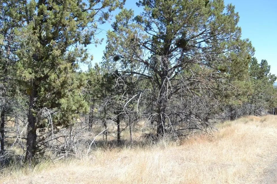 Nw Irvine Avenue Tl4300, Prineville Property Listing: MLS® #220213110
