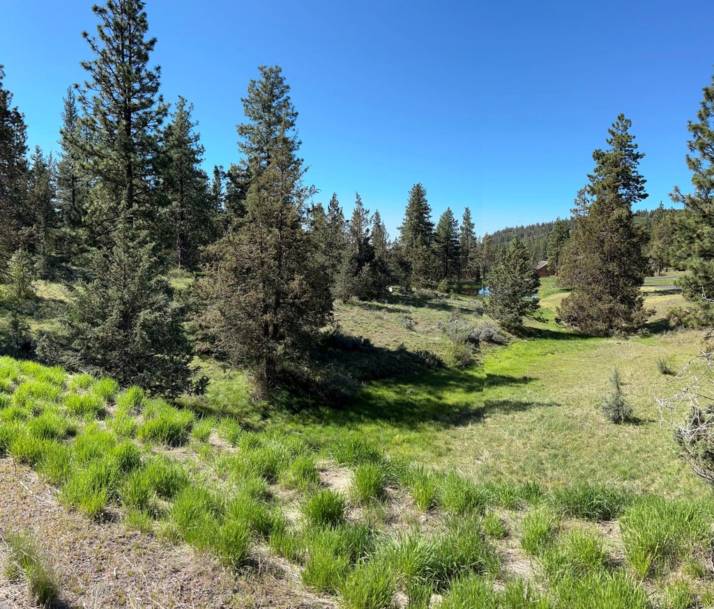 823 Saddle Butte Drive Lot #89, Klamath Falls Property Listing: MLS ...