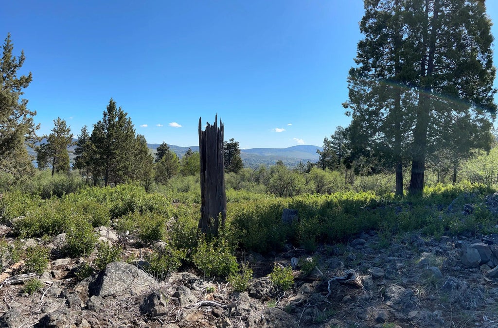 823 Saddle Butte Drive Lot #89, Klamath Falls Property Listing: MLS ...