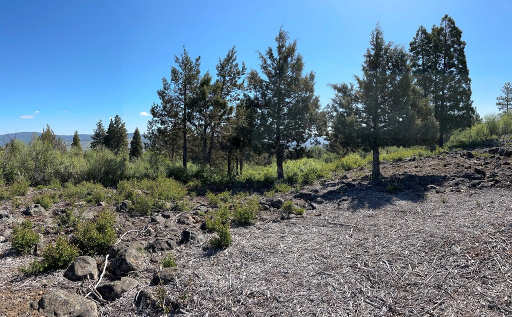 823 Saddle Butte Drive Lot #89, Klamath Falls Property Listing: MLS ...