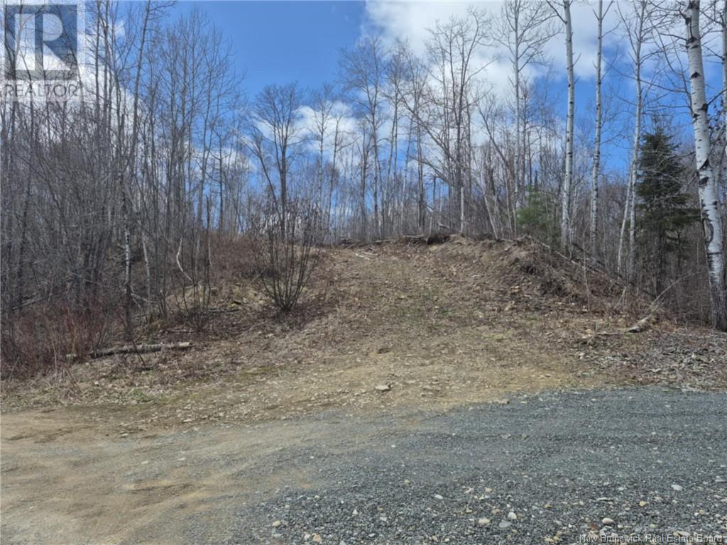 Lot Renous River Road, Renous Property Listing: MLS® #NB118030
