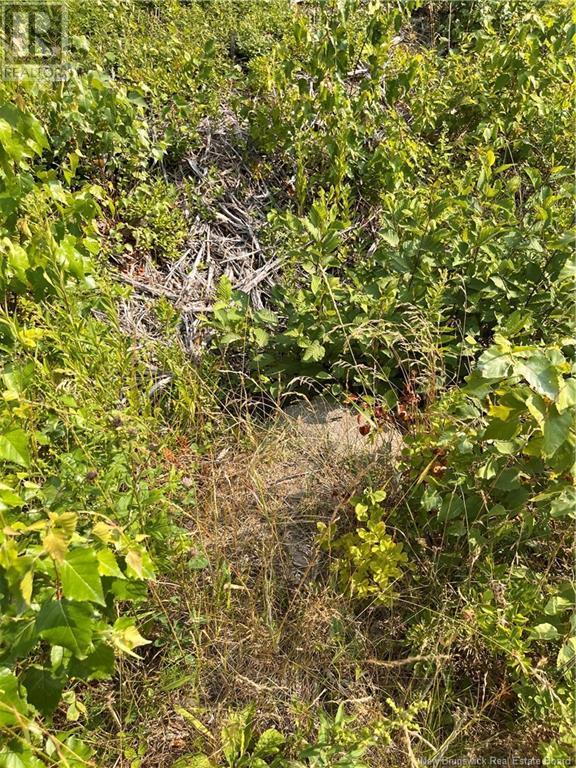 Lot Indian Island Road, Indian Island Property Listing: MLS® #NB123945