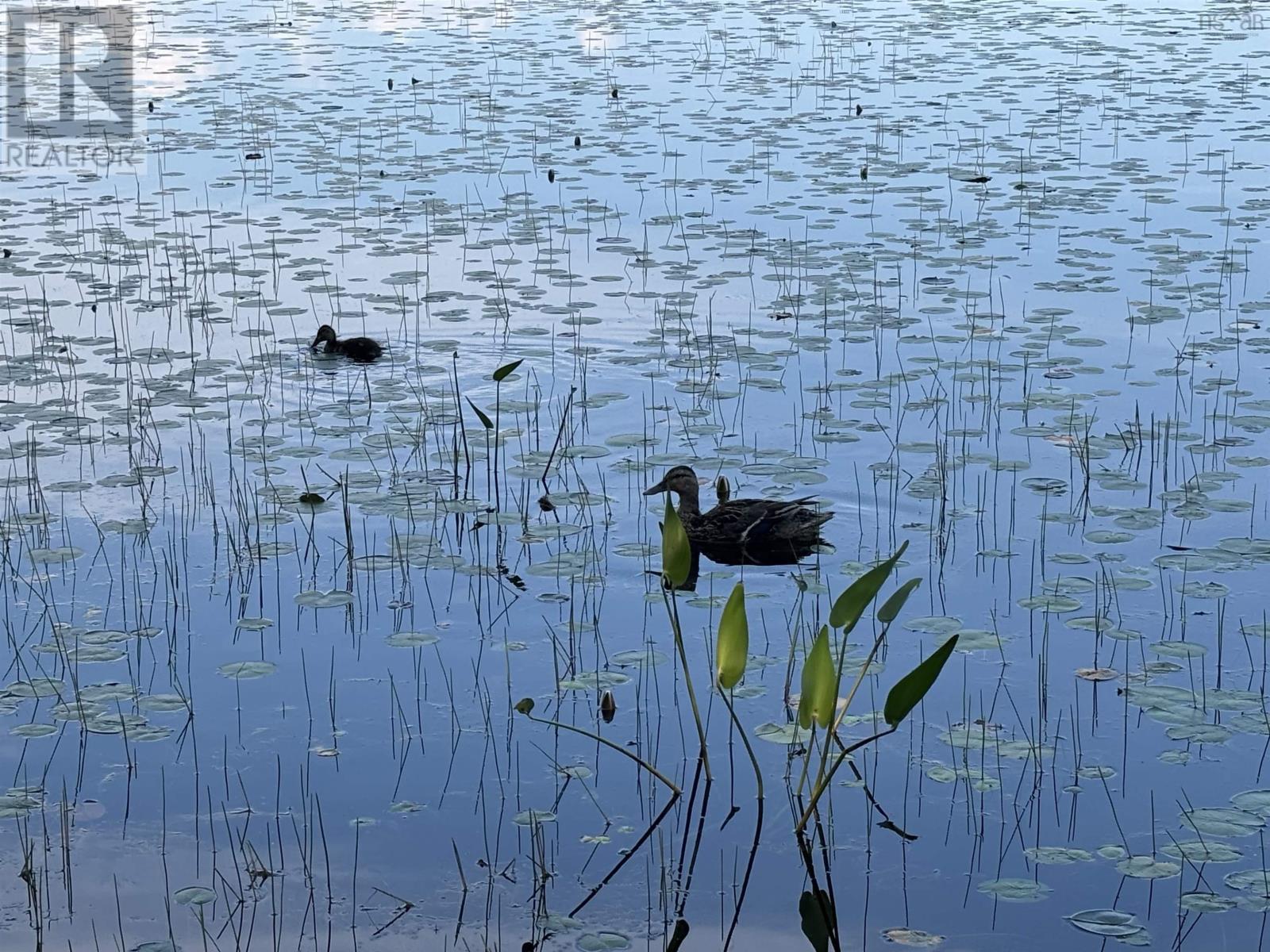 $25000 | West Clifford for Sale at Lot Pid# 60668795 Highway 325 | West ...