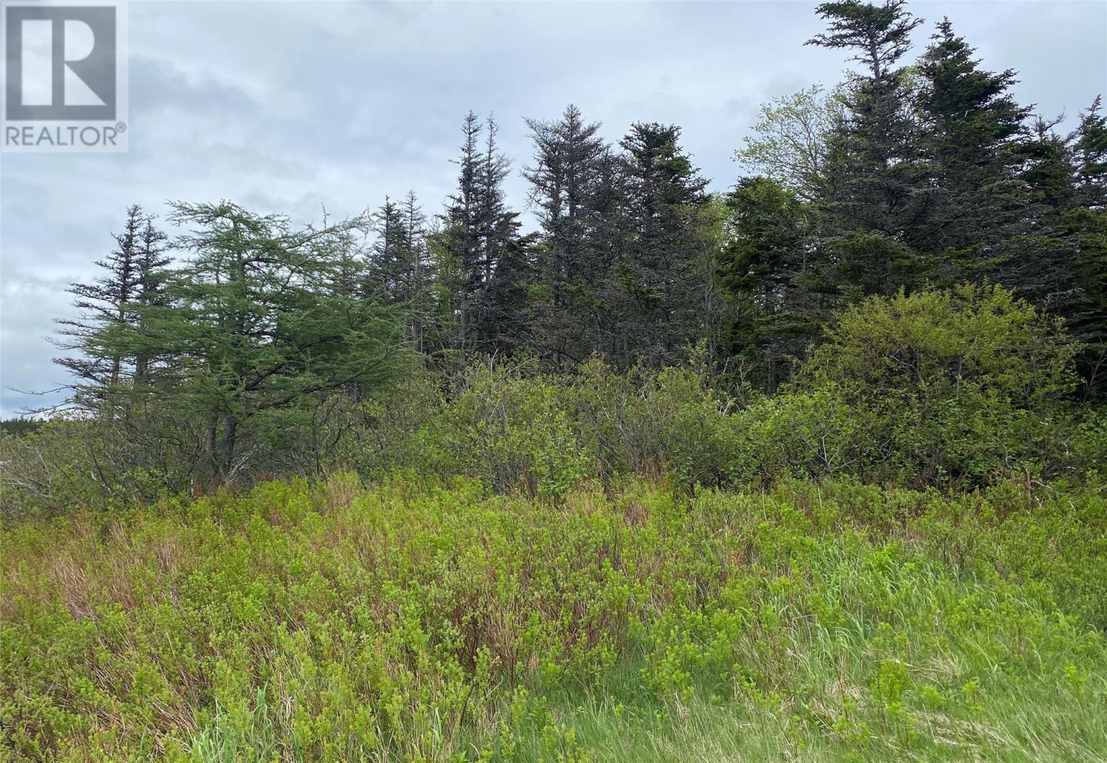 73 Cameron Place, Pouch Cove | For Sale: $77500 | Larry Hann