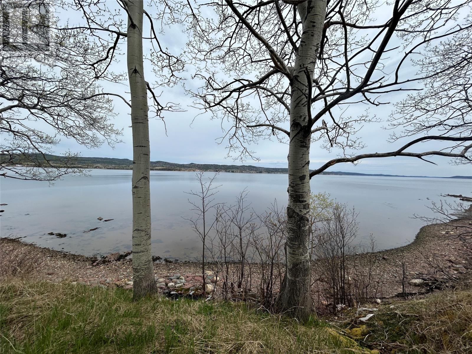 38-40 Sacrey's Road, Botwood Property Listing: MLS® #1272496