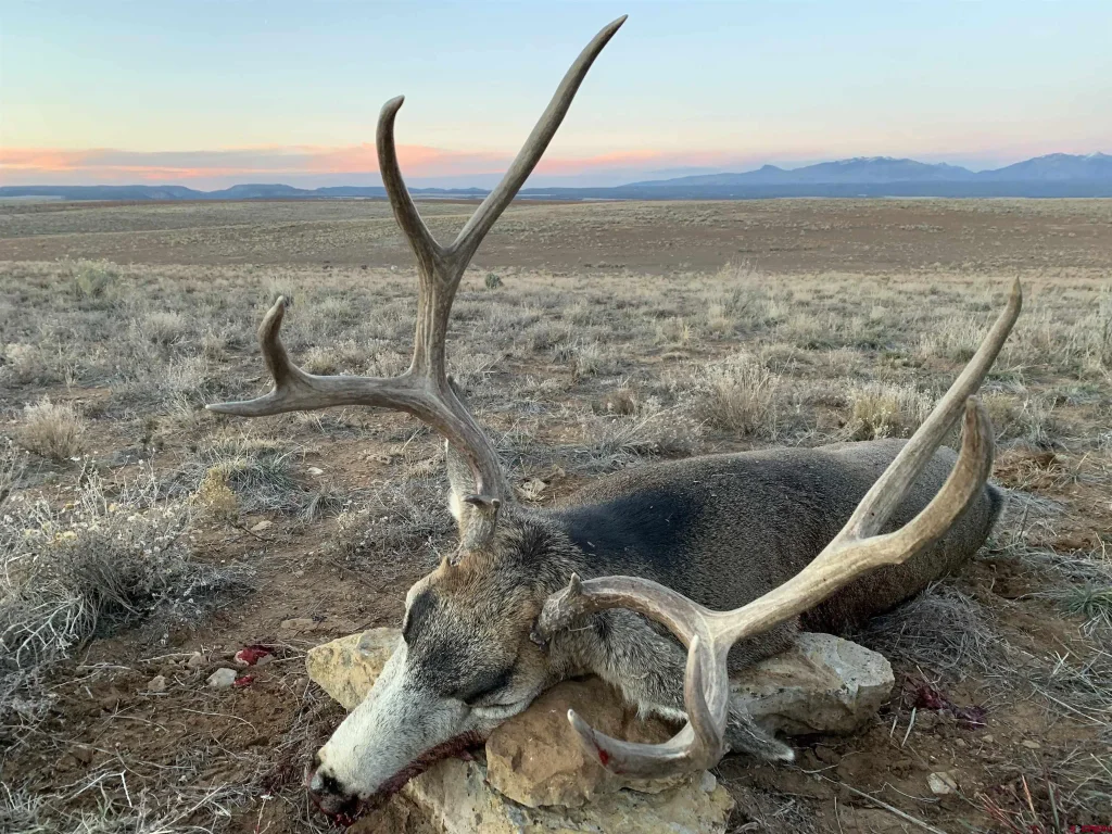 Akati Gulch Road Majestic Elk Ranch 960, Hesperus Property Listing: MLS ...