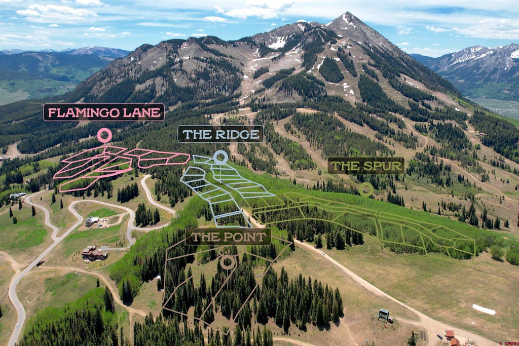 E40 Prospect Drive, Mt. Crested Butte Property Listing: MLS® #829485