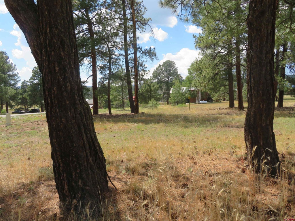 142 Hatcher Circle, Pagosa Springs Property Listing: MLS® #830787