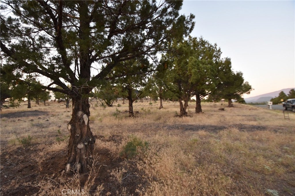 Lake Shastina Dr., Weed CA | Weed Lots/Land Homes For Sale