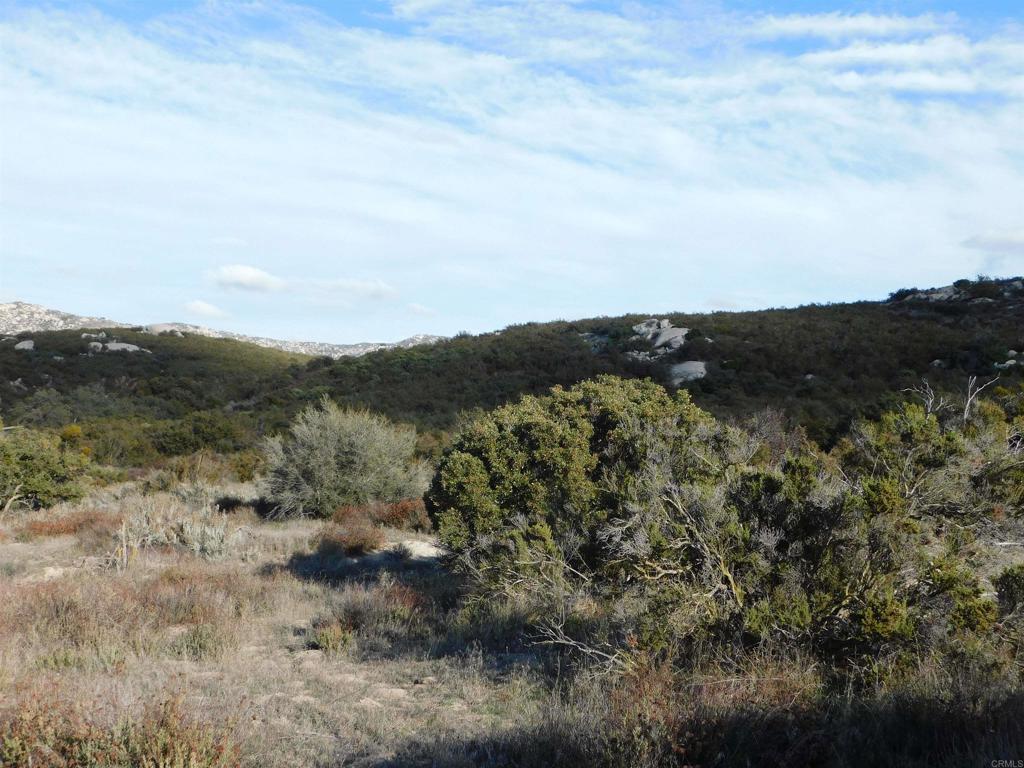 34679 Old Hwy 80, Pine Valley CA | Pine Valley Lots/Land Homes For Sale