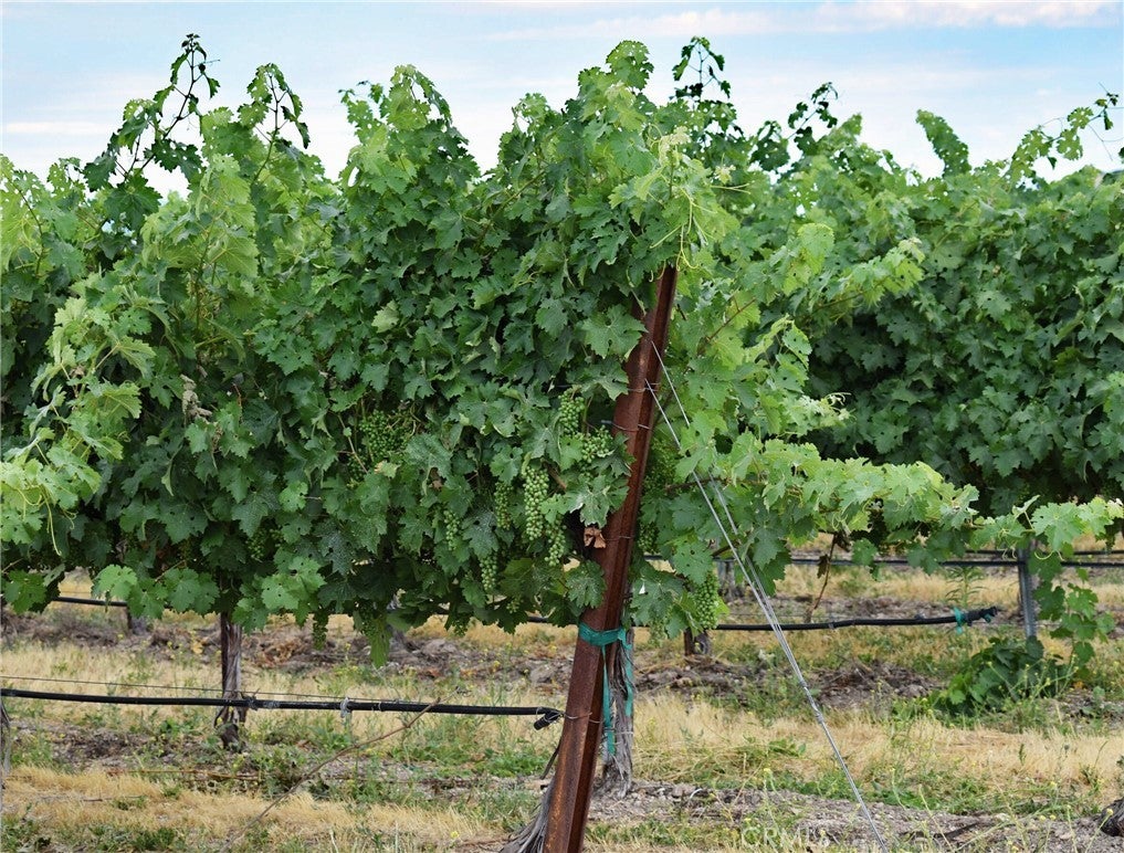 Lockwood Jolon Road, Lockwood CA | Lockwood Lots/Land Homes For Sale