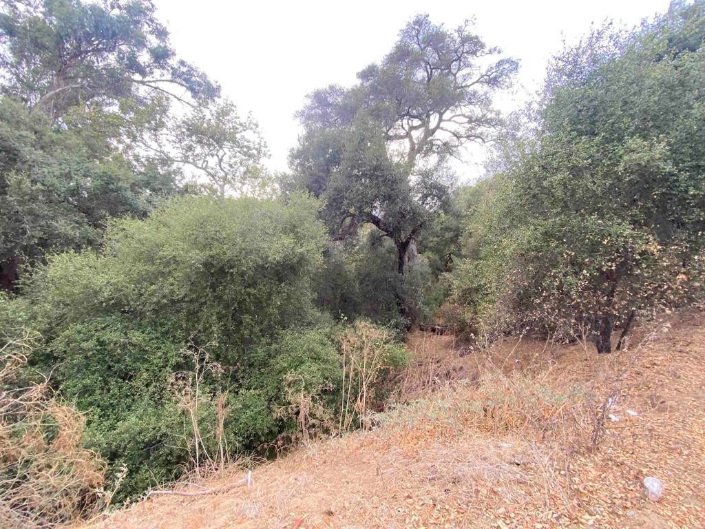 Jesmond Dene Road, Escondido CA | Escondido Lots/Land Homes For Sale