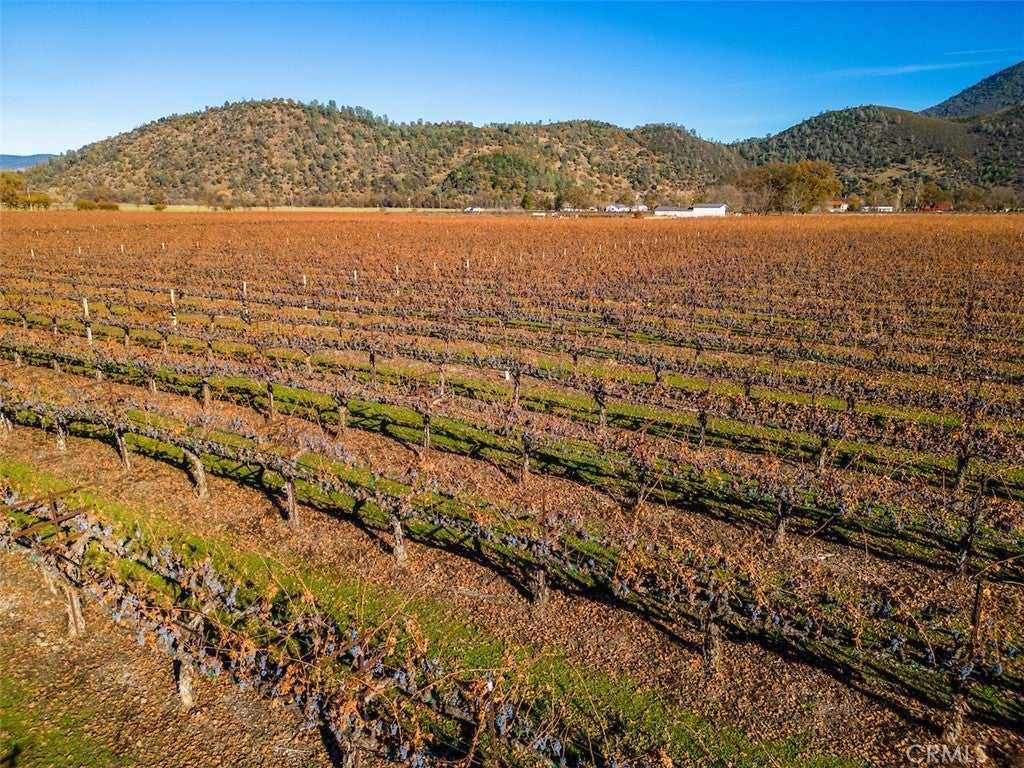 4150 Gaddy Lane, Kelseyville CA | Kelseyville Lots/Land Homes For Sale