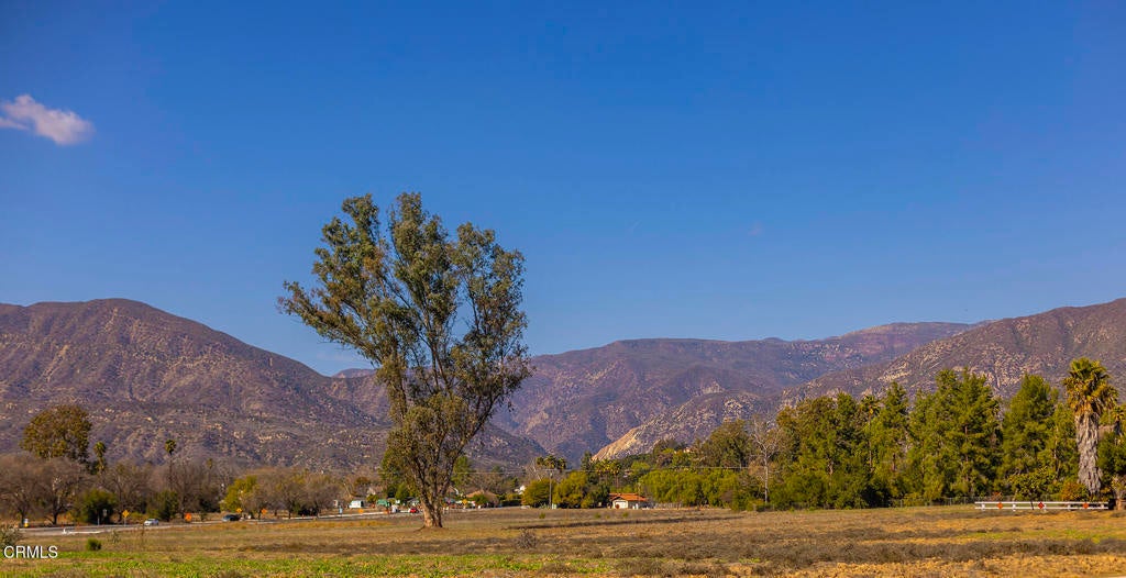 1400 Maricopa Highway, Ojai CA | Ojai Lots/Land Homes For Sale