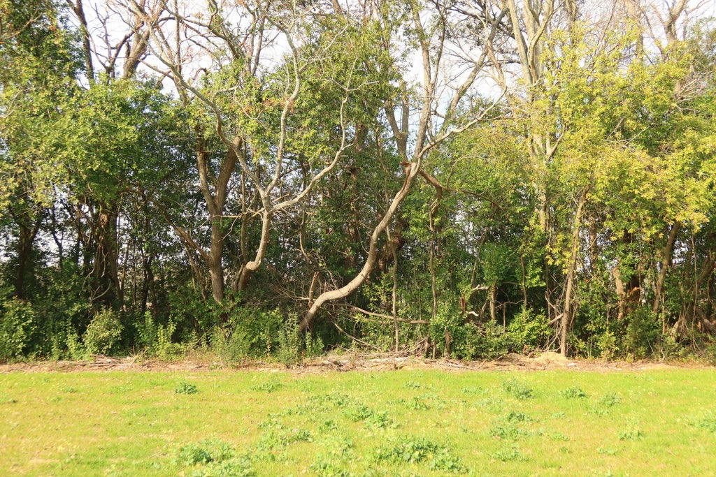 214 Avocada Drive, Santee: #26000931