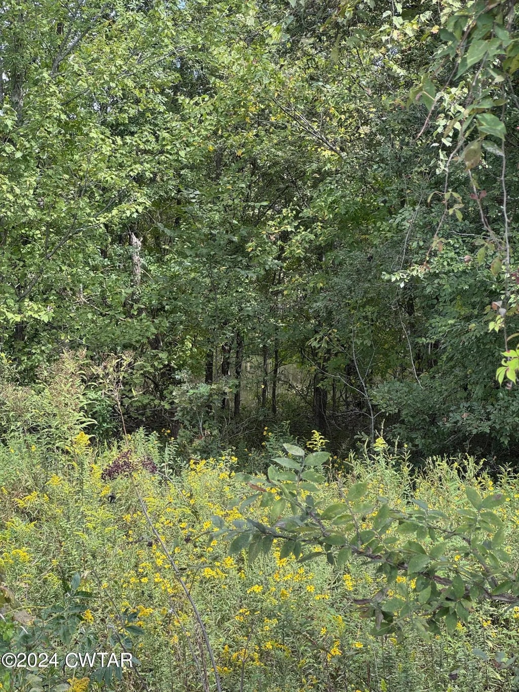 555 Charlie Lewis Road, Trenton Property Listing: MLS® #246451