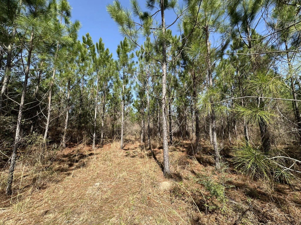 Tract#6416 Douglas Ferry North Road, Caryville Property Listing: MLS ...
