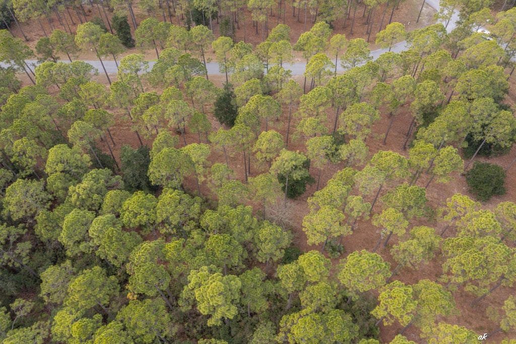 7534 Morning Marsh Trail, Panama City Beach Property Listing: MLS® #993925