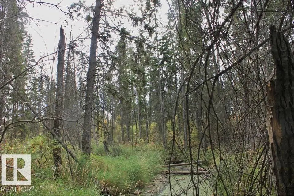 49454 Range Road 241, Rural Leduc County Property Listing: MLS® #E4468326