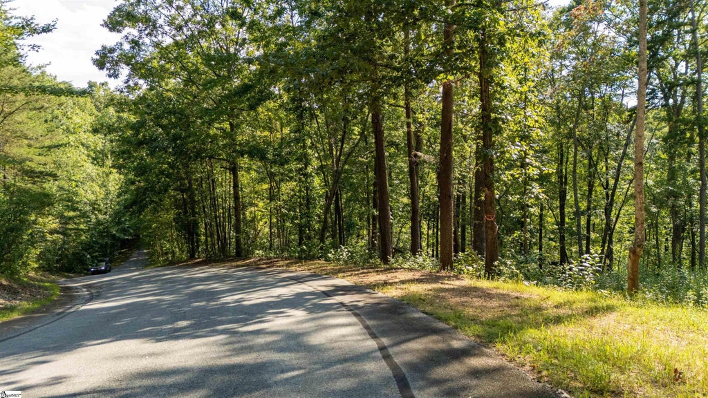 207 Luberon Lane, Travelers Rest Property Listing: MLS® #1567825