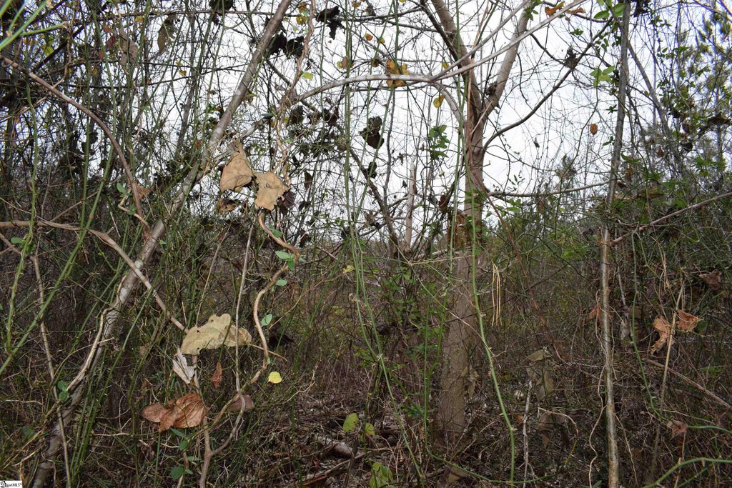 Goforth Road, Landrum Property Listing: MLS® #1576346