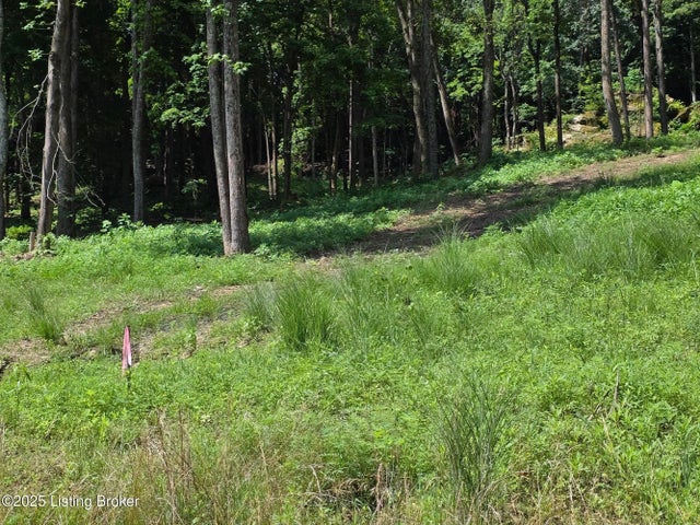 2 Cave Creek Rd Falls Of Rough, KY 40119 | MLS# 1707309