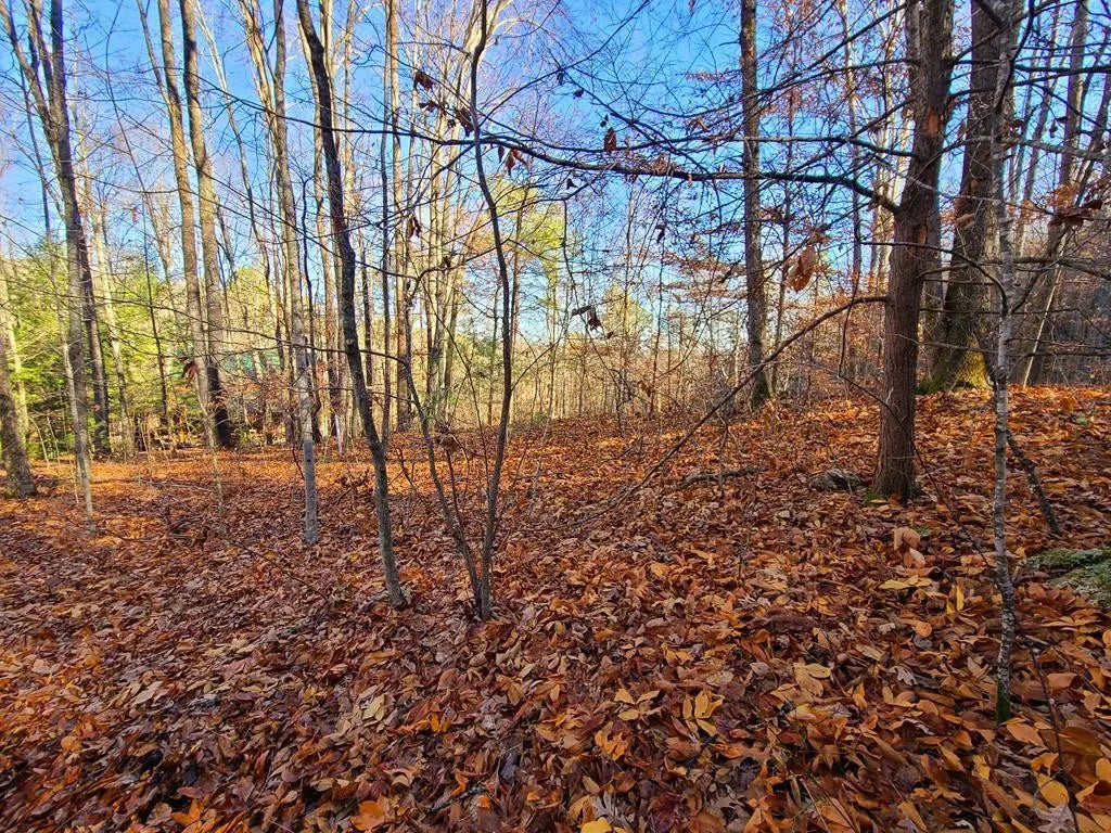 Lot 9 Walden Flats Way, Sevierville Property Listing: MLS® #304747