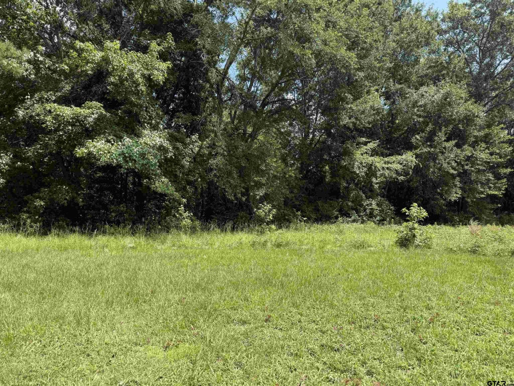 Property at 000 Lake Dr, Winona,TX 75792