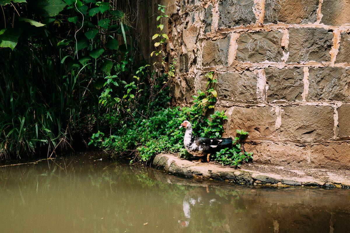 KULANA Kana St 18a in KULANA SUBDIVISION | MLS® 708256 For Sale ...