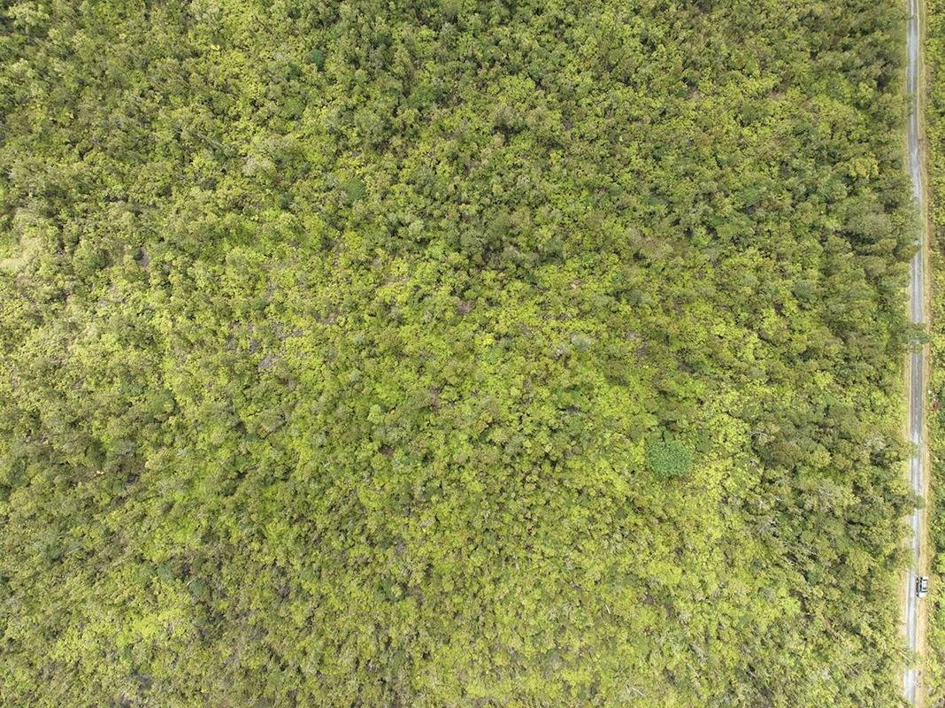 Ala Naulani Rd in FERN FOREST VACATION ESTATES | MLS® 709137 For Sale ...