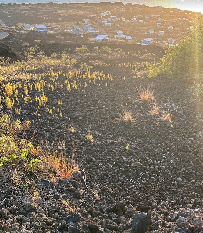 Milolii Rd in MILOLII BEACH LOTS SUBDIVISION | MLS® 715515 For Sale ...