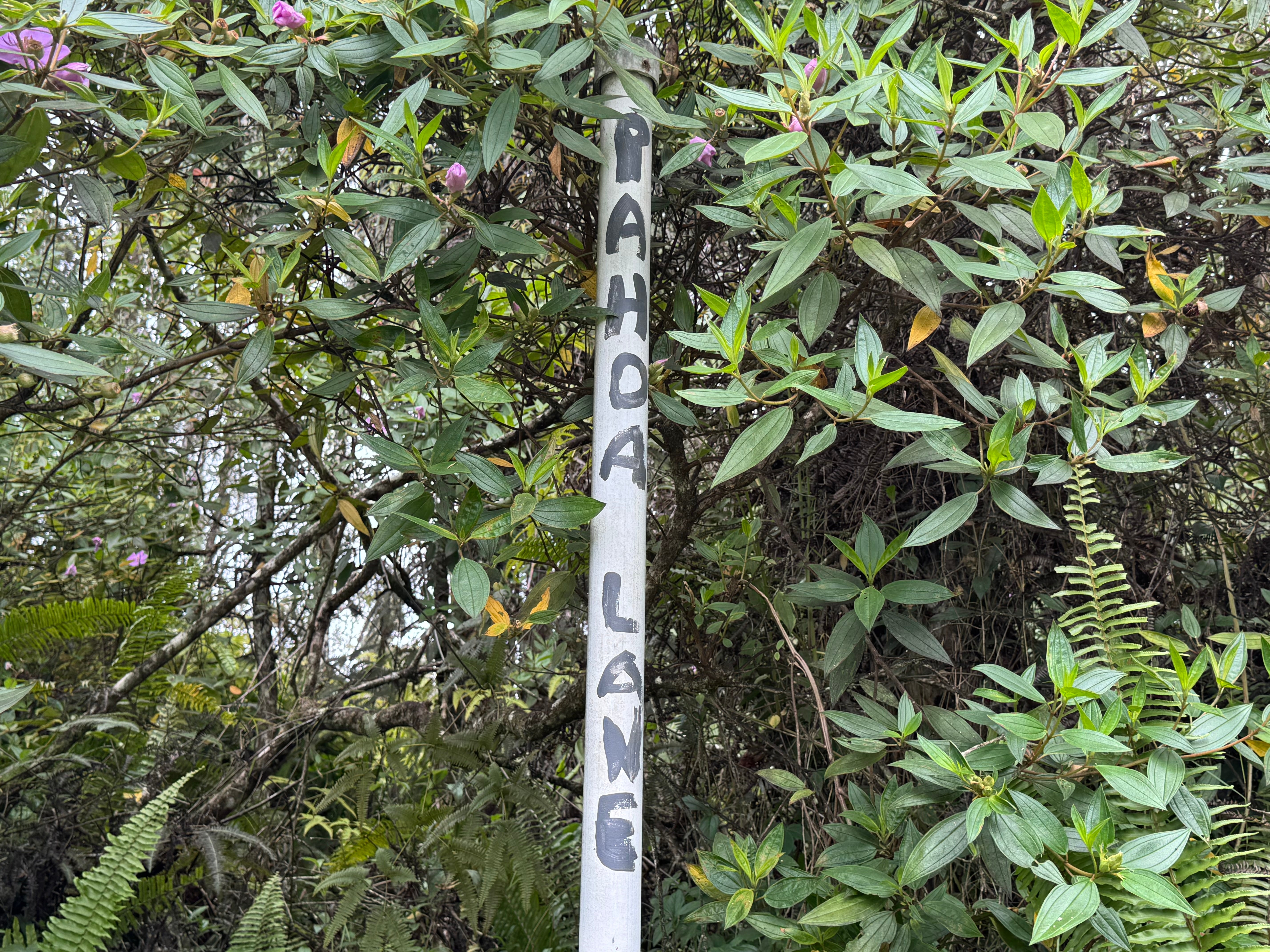 Pahoa Rd in NANAWALE ESTATES SUBDIVISION | MLS® 720654 For Sale $8,000 ...