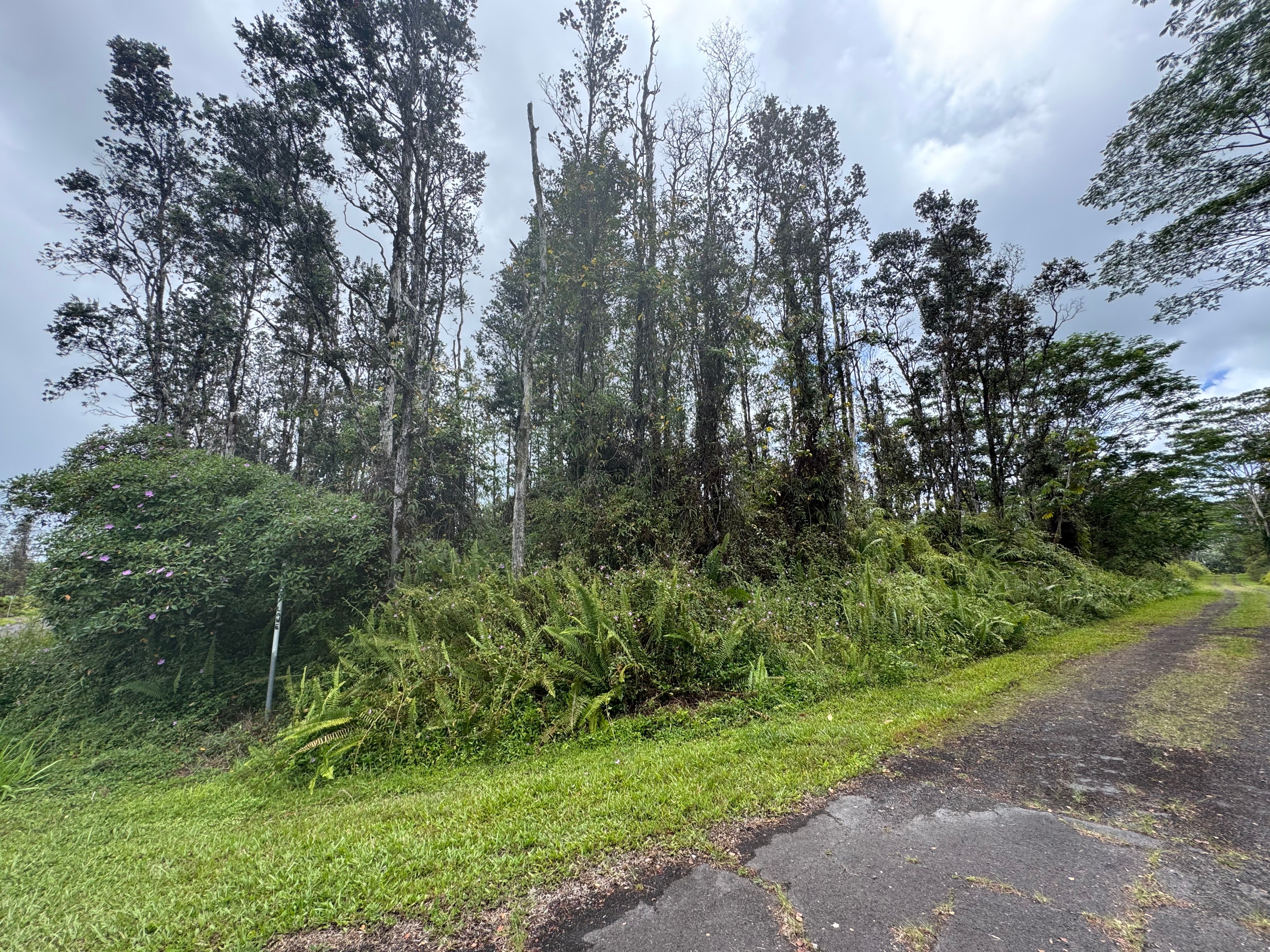 Pahoa Rd in NANAWALE ESTATES SUBDIVISION | MLS® 720654 For Sale $8,000 ...