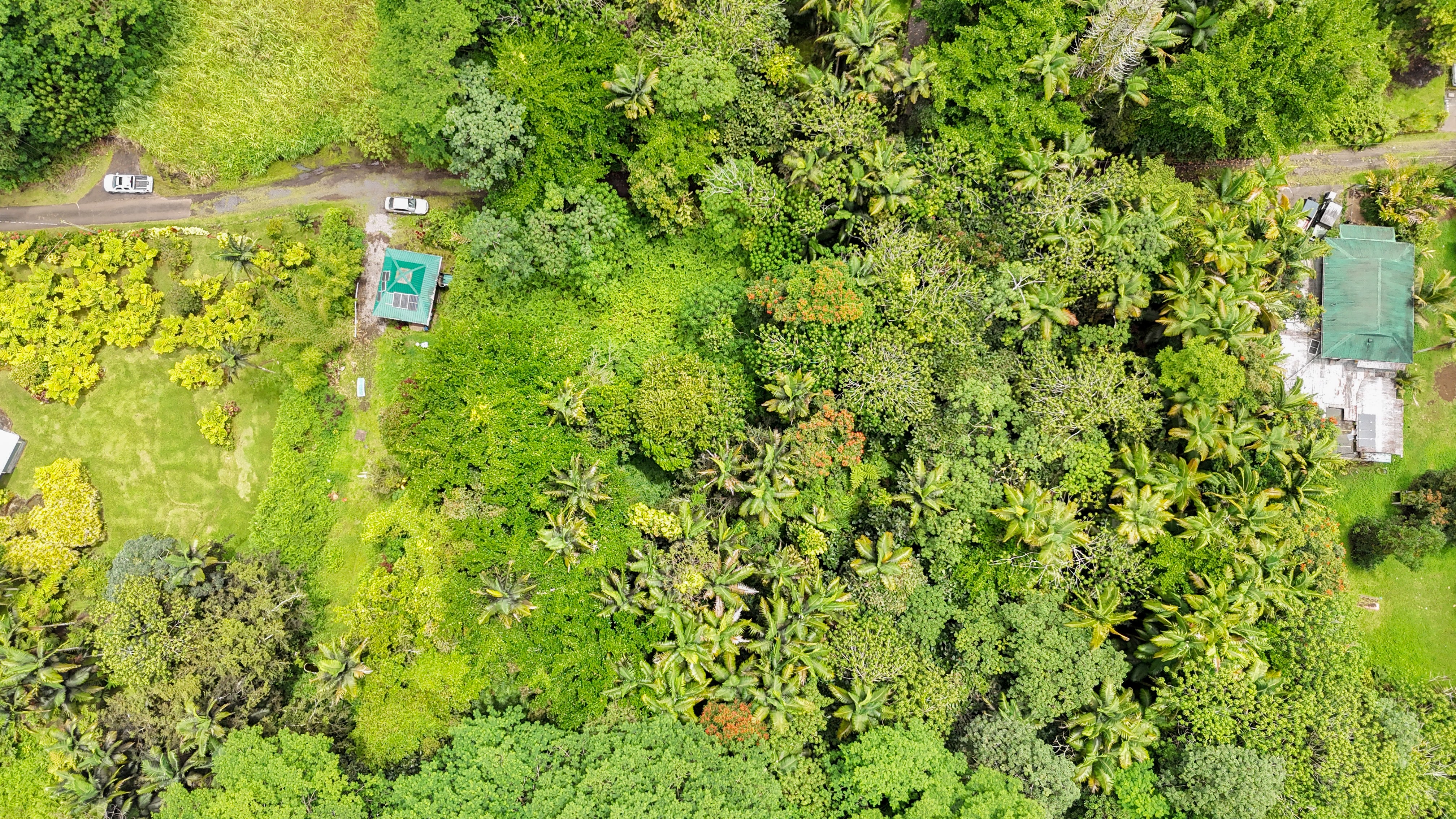 Japanese Camp Rd in NANAWALE HOMESTEADS | MLS® 726771 For Sale $69,000 ...