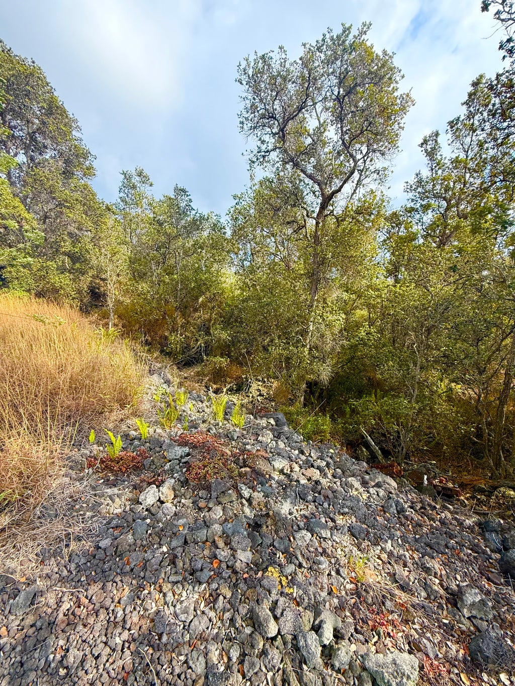 92-1970 Aloha Blvd, Ocean View Property Listing: MLS® #727533