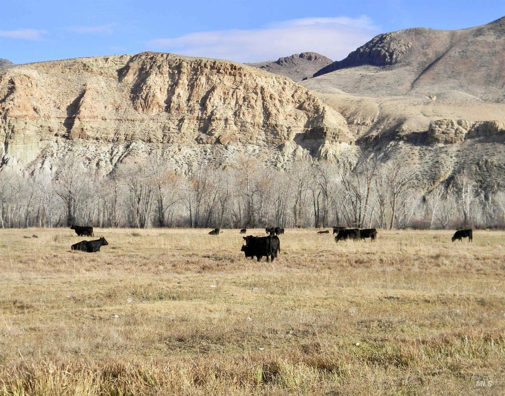 Farms & Ranches for Sale in Boise - Idaho Farm & Ranch Real Estate